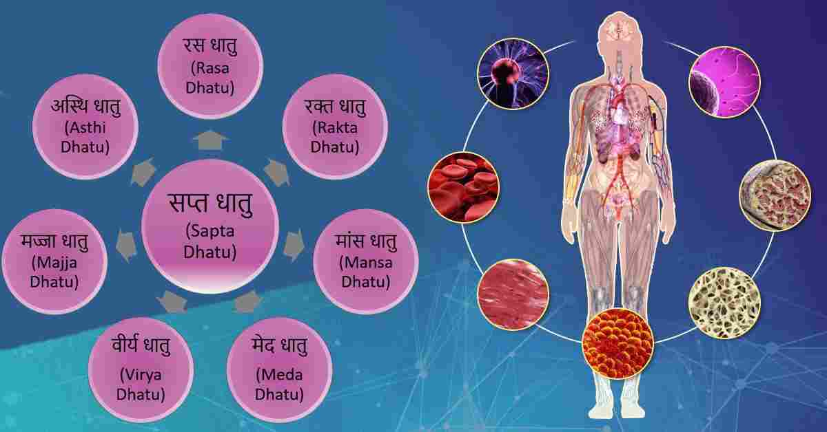 Ayurveda Simplified: Meaning Of Common Terms Used in Ayurveds – Easy ...