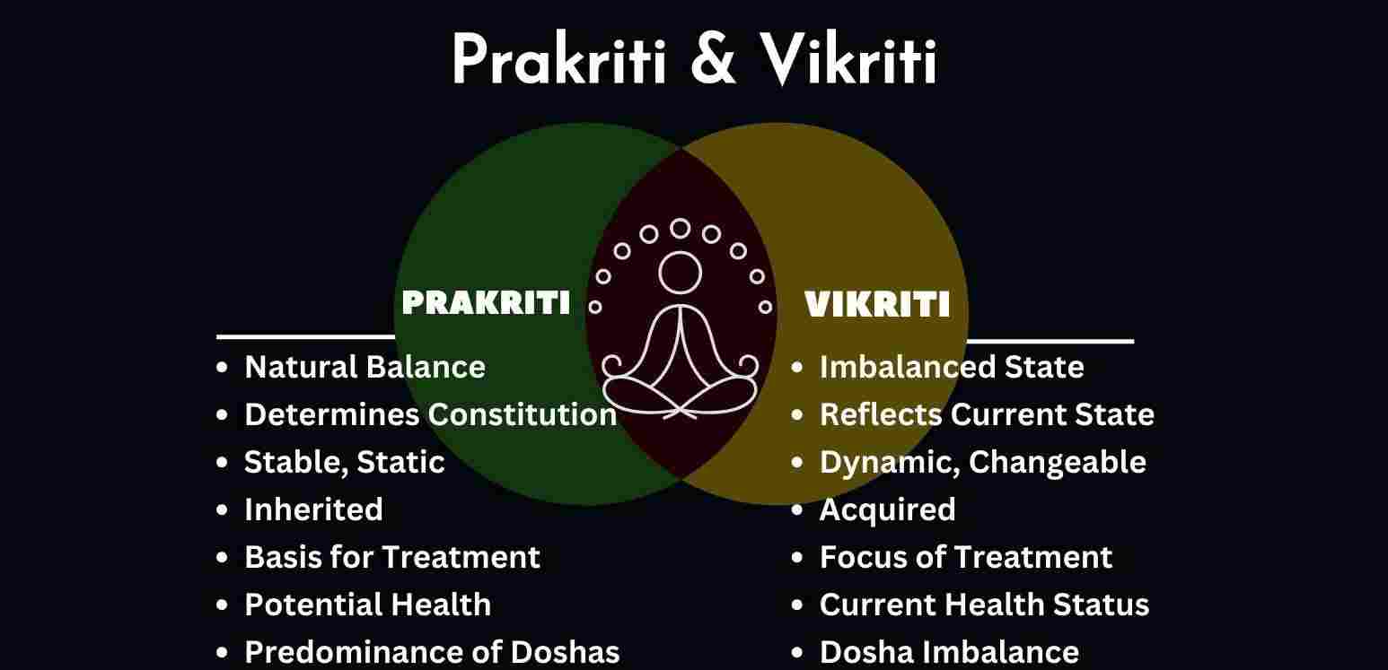 Ayurveda Simplified: Meaning Of Common Terms Used in Ayurveds – Easy ...