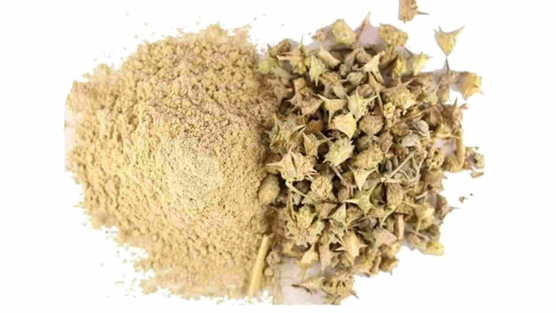 Nepali Gokhuru Powder : Benefits, Uses and More – Easy Ayurved