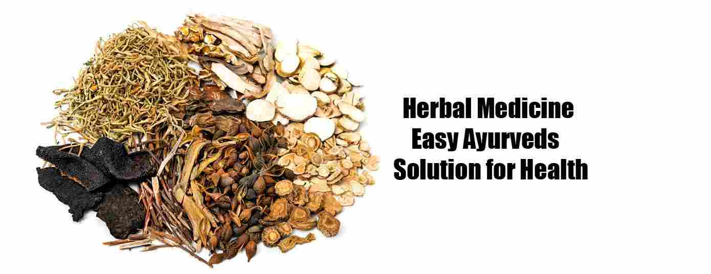 Herbal Medicine: Easy Ayurveds Solution For Health