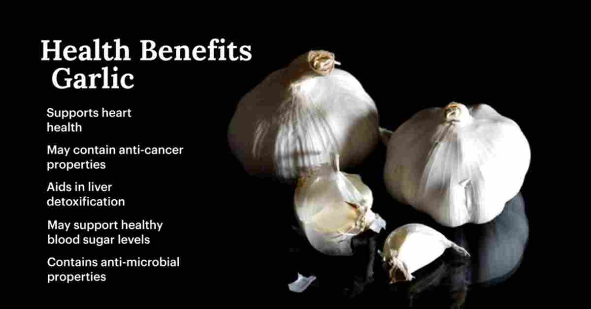 Lasun Garlic Allium Sativum Benefits, Uses & More!