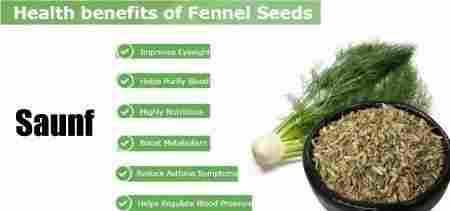 Saunf: Fennel Seed: Foeniculum vulgare: Benefits and More! – Easy Ayurved