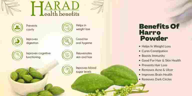 Harro: Terminalia chebula: Harad Benefits, Uses & More! – Easy Ayurved