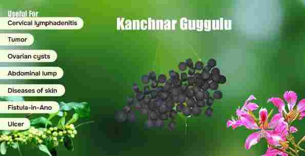 Kanchnar Guggulu Benefits, Uses, Precaution and More! – Easy Ayurved