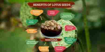 Makhana: Lotus Seeds Benefits, Uses, Precaution & More! – Easy Ayurved