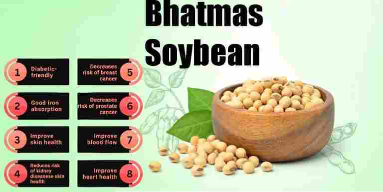 Bhatmas: Soybean: Glycine max Benefits, Uses, Precaution & More! – Easy ...