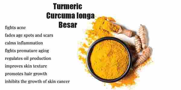 Turmeric: Curcuma longa Benefits, Uses, Precaution & More!