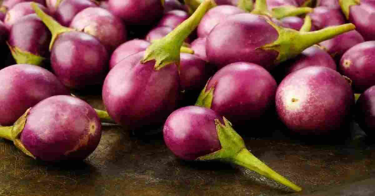 भन्टा The Health Benefits Of Bhanta (Brinjal)